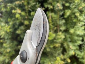 Bypass oder Amboss Astschere - Unterschiede, Vorteile und Nachteile ...